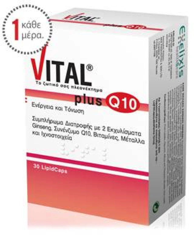 VITAL PLUSQ10, MULTIVITAMINS FOR ENERGY 30LIPIDCAPS | Epharmadora